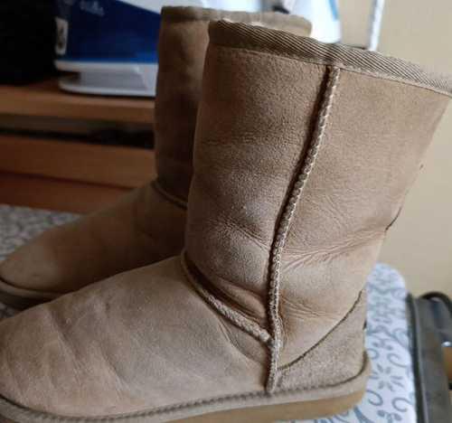 Ugg 36 размер оригинал