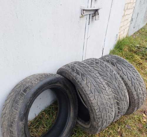 Tigar Ice 215/60 R17 96H
