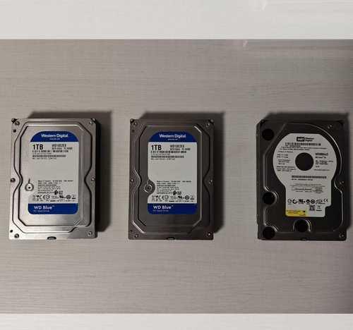 Жесткий диск HDD 1tb Western Digital