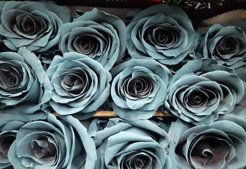 Цветные Розы, Розы букет металлик