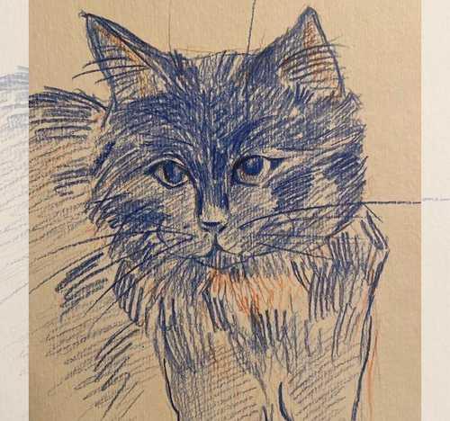 Рисунок кота