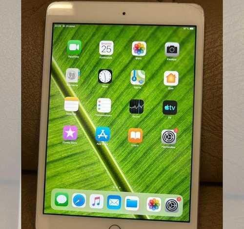 iPad mini 3 64gb silver