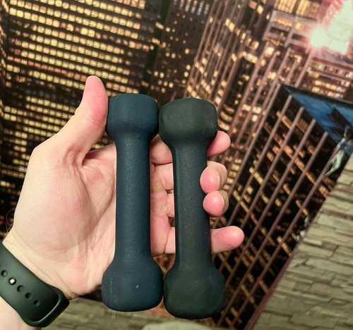 Гантели 0,5 кг каждая бокс
