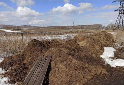 Бесплатно) Перегной говяжый конскый и баранный