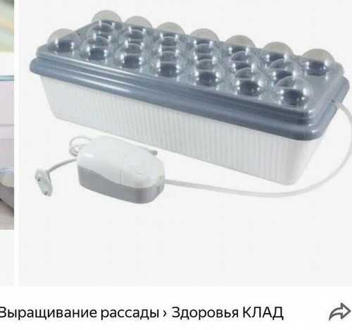 Домашняя чудо грядка