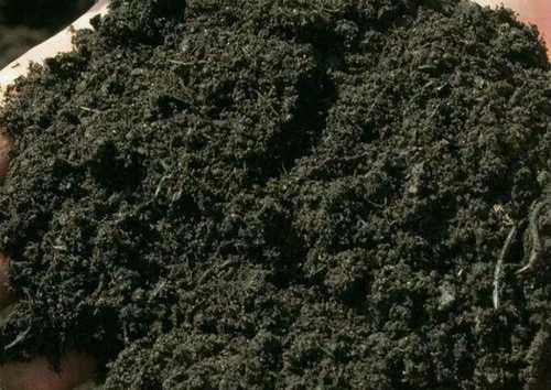 Чернозем Почвогрунт - ЗИЛ 5 тонн