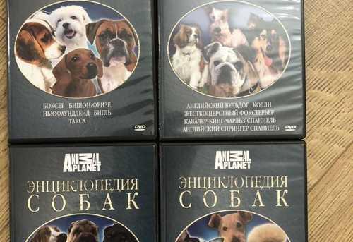 DVD диски лицензия про породы собак
