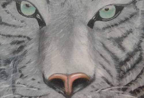 Картина маслом на холсте "Тигр"
