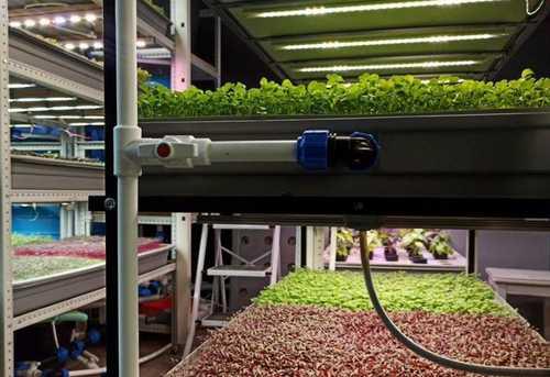 Автоматические стеллажи для выращивания зелени