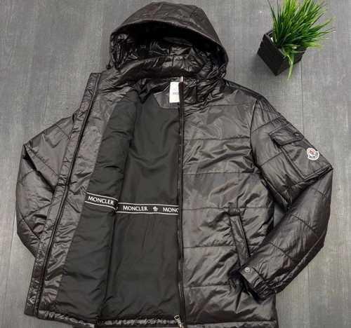 Мужская зимняя куртка Moncler