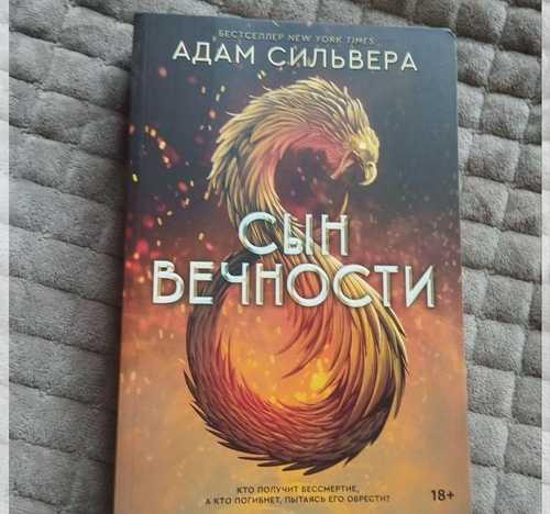 Сын вечности. Адам Сильвера