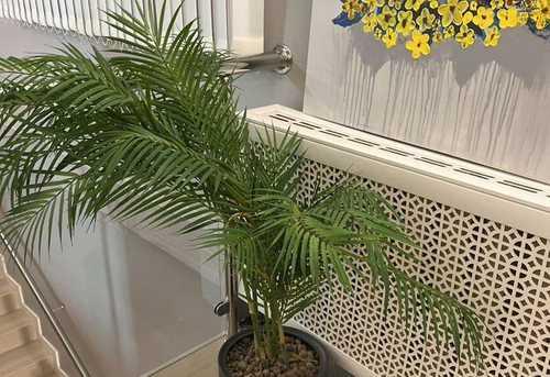 Искусственное растение Пальма Хризалидокарпус