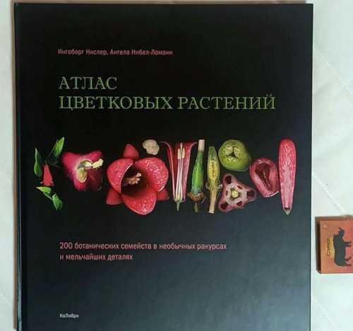 Атлас цветковых растений