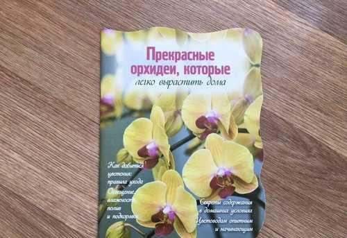 Прекрасные орхидеи
