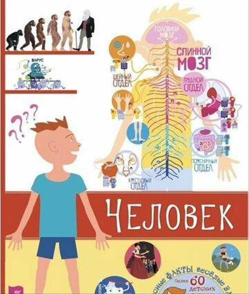 Детская энциклопедия Человек тело анатомия гены