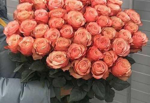 Пионовидные розы большой букет. 101 роза