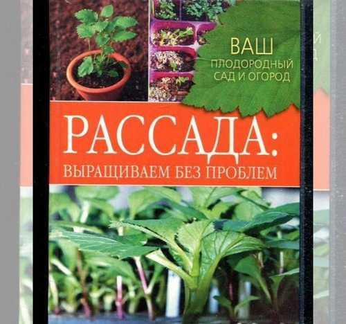 Рассада: выращиваем без проблем