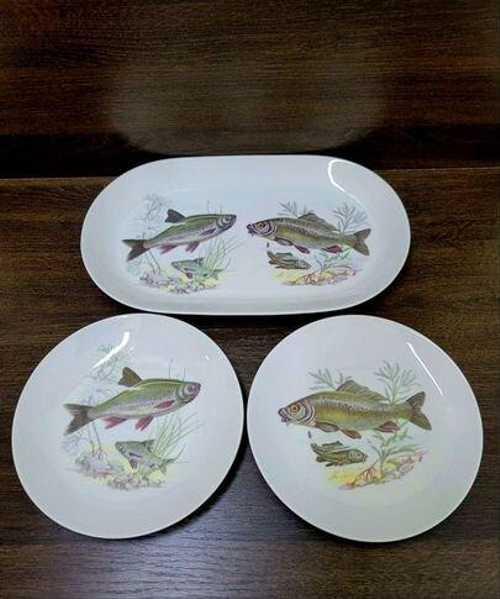 Набор тарелок для рыбы,фарфор ГДР (#842)