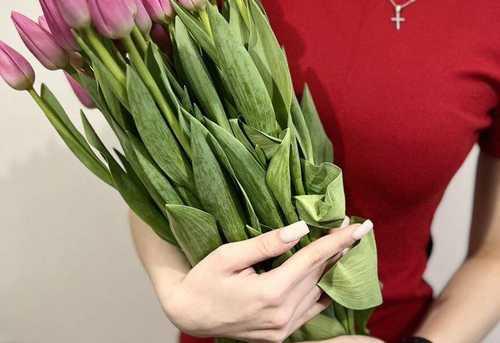 Свежие тюльпаны к 8 марта
