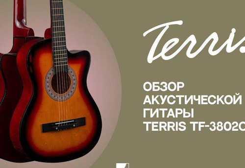 Акустическая гитара Terris TF-3802A