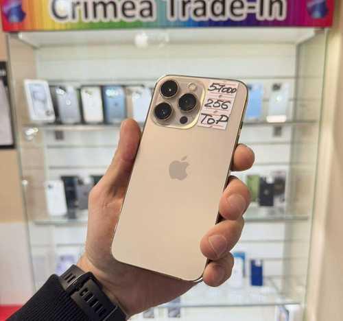 iPhone 13 Pro, 256 ГБ