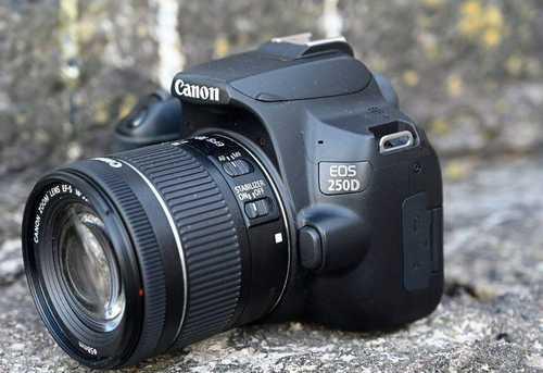 Зеркальный фотоаппарат canon 250d