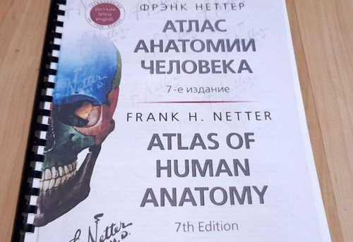 Атлас анатомии человека Френк Неттер 7 издание