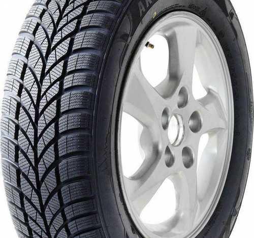 Maxxis WP-05 ArcticTrekker 185/50 R16 81V