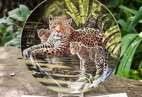 Wedgwood тарелка с амазонскими ягуарами, Англия