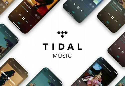 Tidal(Master) HiFi Plus пожизненно