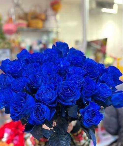 Цветы:Синие розы