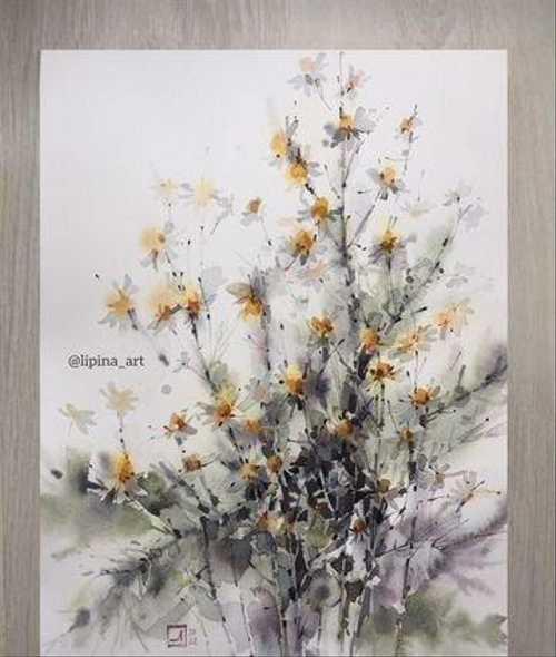 Картина акварель цветы ромашки этюд