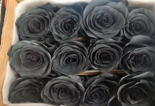 Букет черных Роз Эквадор, цветные Розы