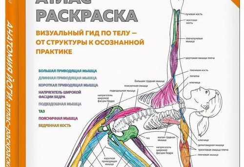 Анатомия йоги, атлас-раскраска