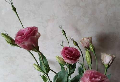 Эустома, ирландская роза, цветы срезка