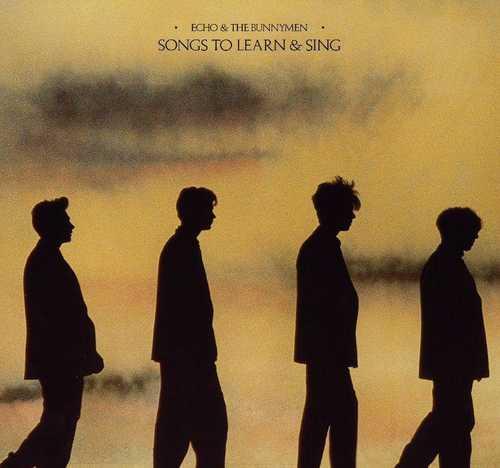 Виниловая пластинка Echo And The Bunnymen - Songs