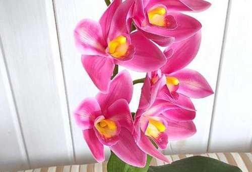 Орхидея царская и другие