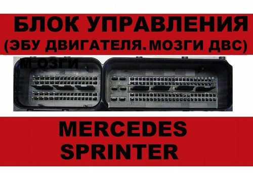 Блок управления двигателем sprinter эбу бу-ремонт