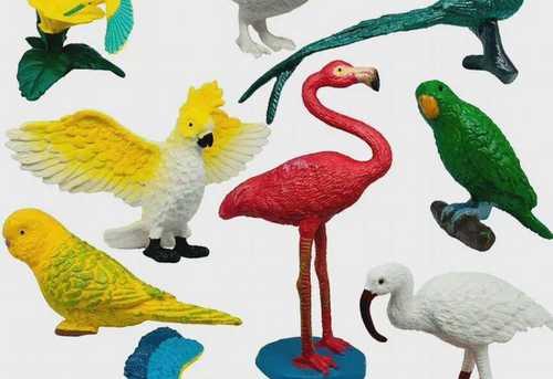 Птицы тропические, 10 видов