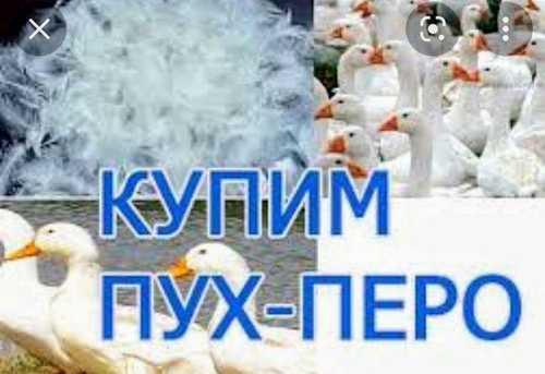 Скупка пух Подушки перины