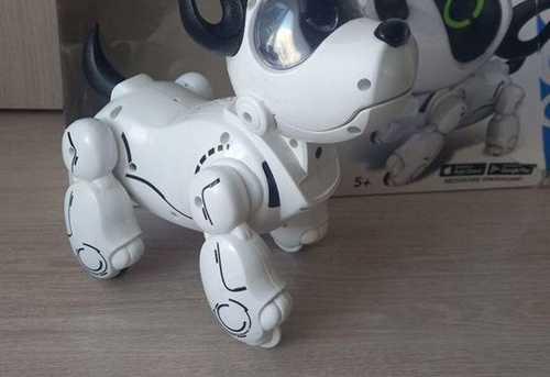 Игрушка Робот собака pupbo