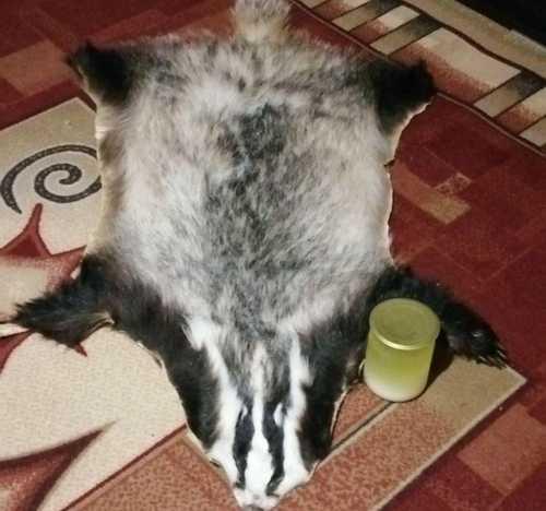 Барсучий жир