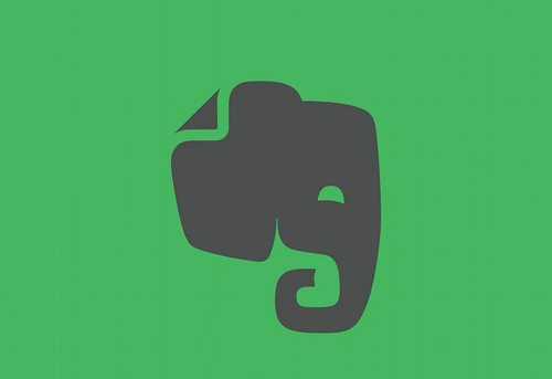 Evernote Professional подписка на 1 год