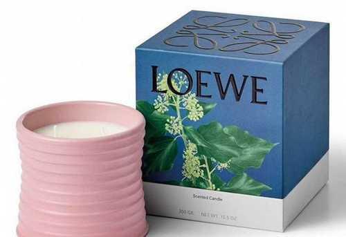 Loewe - ароматическая свеча Ivy