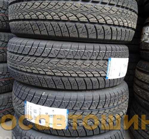 Triangle WinterX TW401 195/55 R16 91H