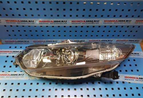 Фара ксенон Honda Accord 8