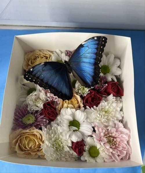 Цветы и живая бабочка