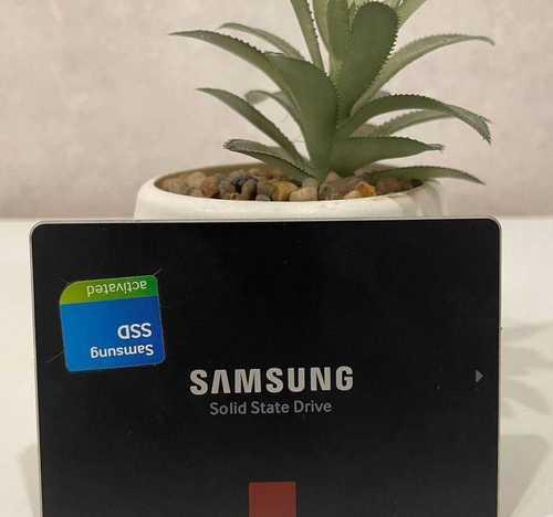 SSD Samsung 850 PRO 256GB