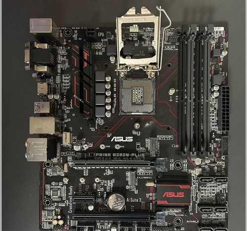 Материнская плата asus prime B250M-plus LGA1151