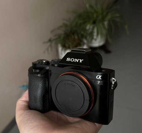 Sony A7 с объективами